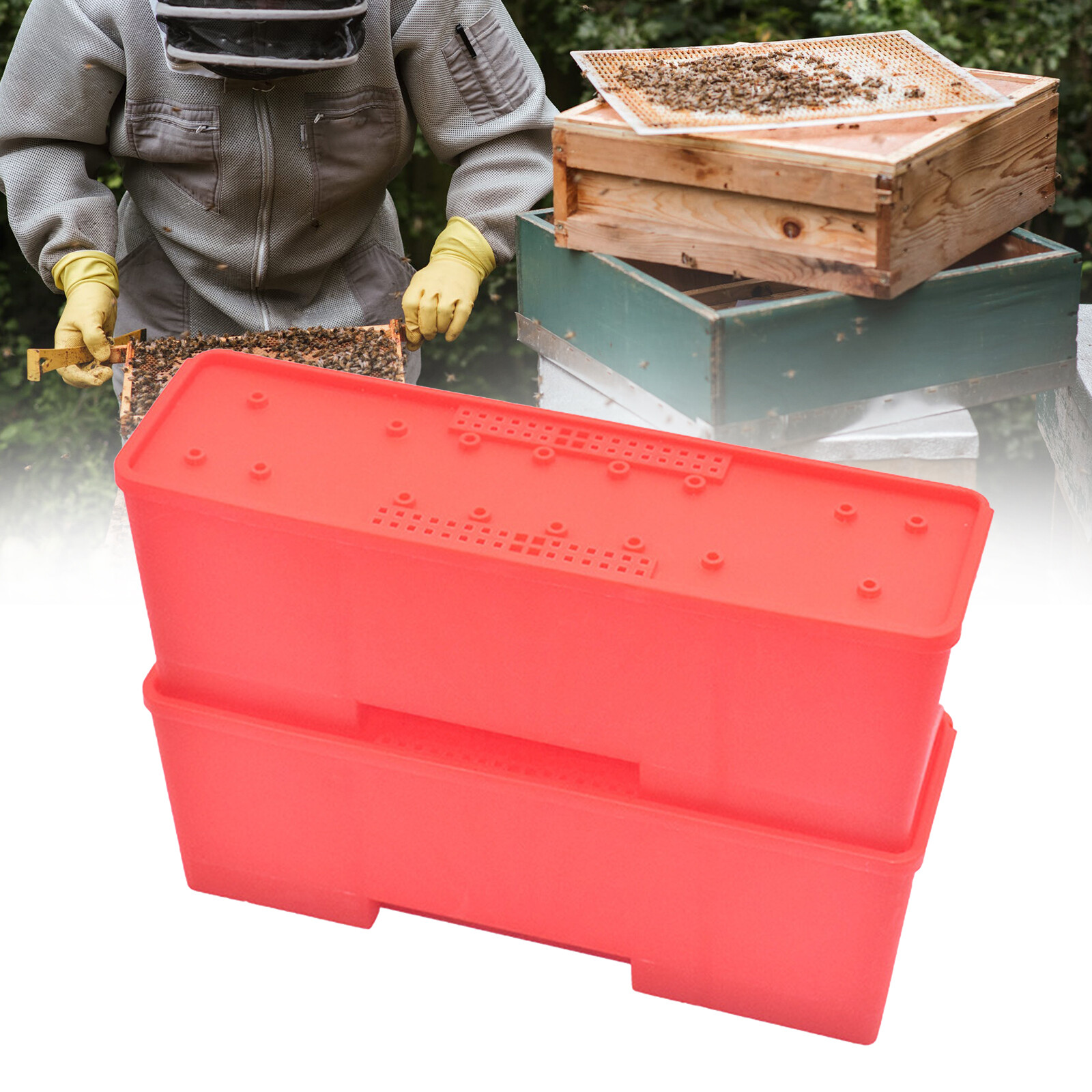 20PCS Bee Queen Cage with Transport Box Bee Queen Cage Holder Queen Bee ...