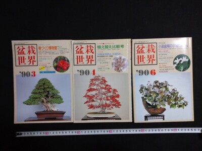 Bonsai Sekai World 1990 Mar Apr Jun set Japan Bonsai Association Photo ...