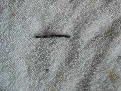 WW2 US M1 Carbine Ejector Spring and Plunger ejector spring & cartridge ...
