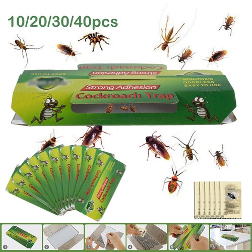 10-40x Cockroach Traps Killer Bedbug Glue Trap Crawling Insect Pest ...