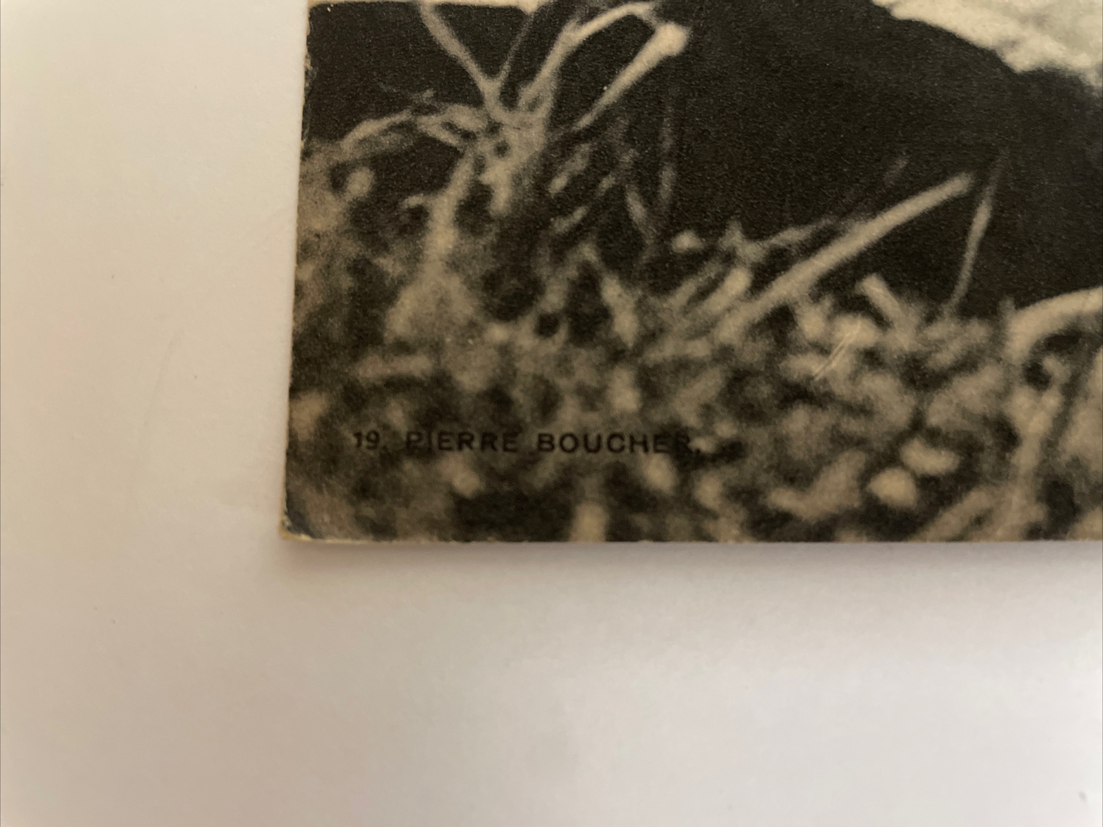 Vintage Nude Small Poster Print Photo Pierre Boucher Girl Sun Bathing ...