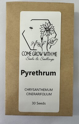 Pyrethrum (CHRYSANTHEMUM CINERARIFOLIUM) Seeds Repels insects 30 Seeds ...