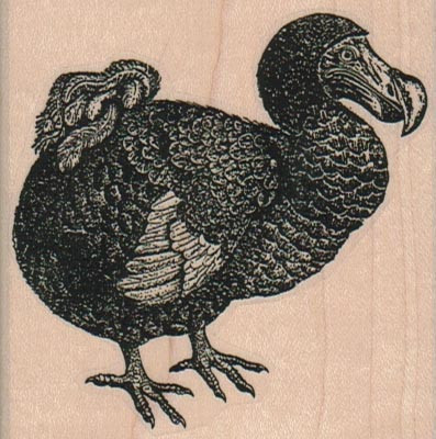 Dodo 2 3/4 x 2 3/4" Rubber Stamp, Dodo Stamp | eBay