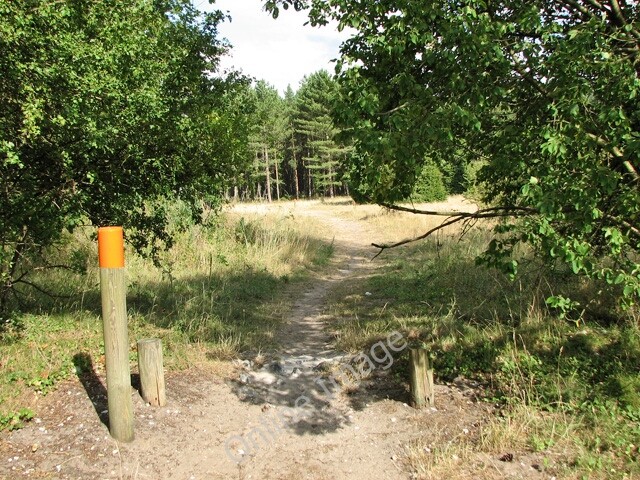 Photo 6x4 Path from St Helen's picnic site to Santon Warren Santon ...