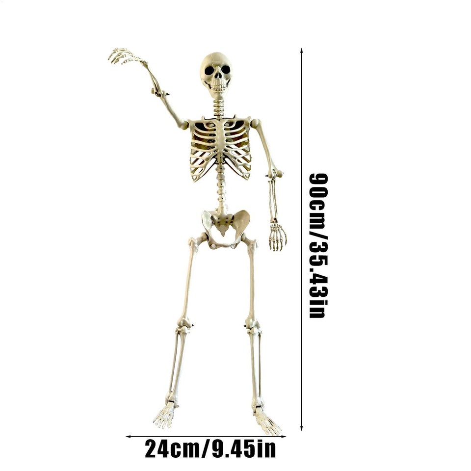 Halloween Realistic Body Bones Life Size Human Skeleton with Posable ...