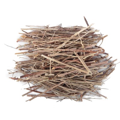 Earth Best Bhumi Amla - Bhoomi Awla - Phyllanthus Niruri -Fillanto ...