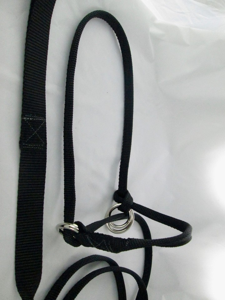 Halter All EXTRA SMALL Miniature Foal, Mini Endless Adjustable Horse ...