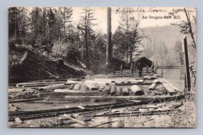 Log Float at Oregon Saw Mill ~ Antique Lumberjack Collotype Postcard ...