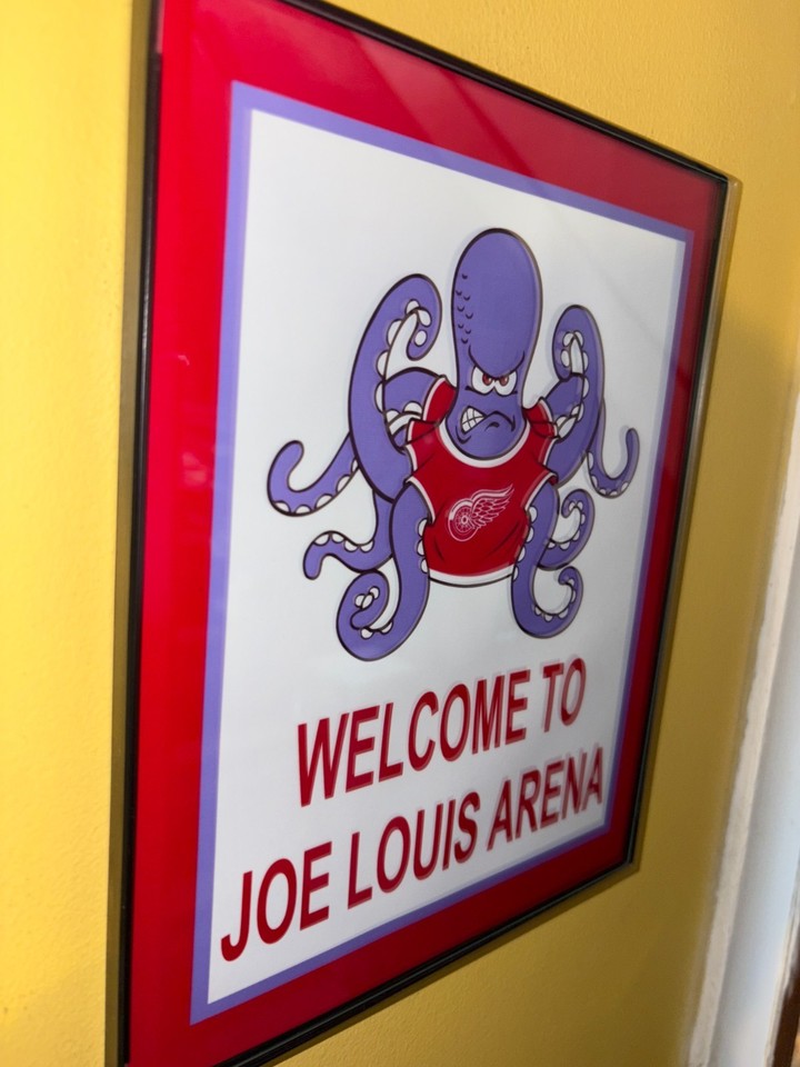 Detroit Red Wings Octopus Hockey Stadium Throwback Bar Man Cave Sign | eBay