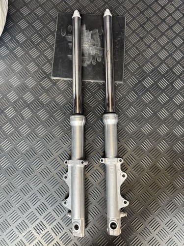 Harley-Davidson 1200S Front Fork Double Disc 39mm | eBay