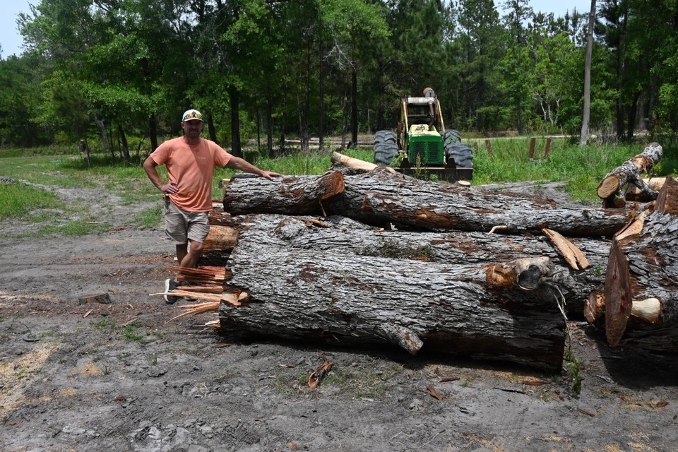 GA Pecan Lumber. Rough sawn. Square or live edge. RW x Lengths 8' - 10 ...