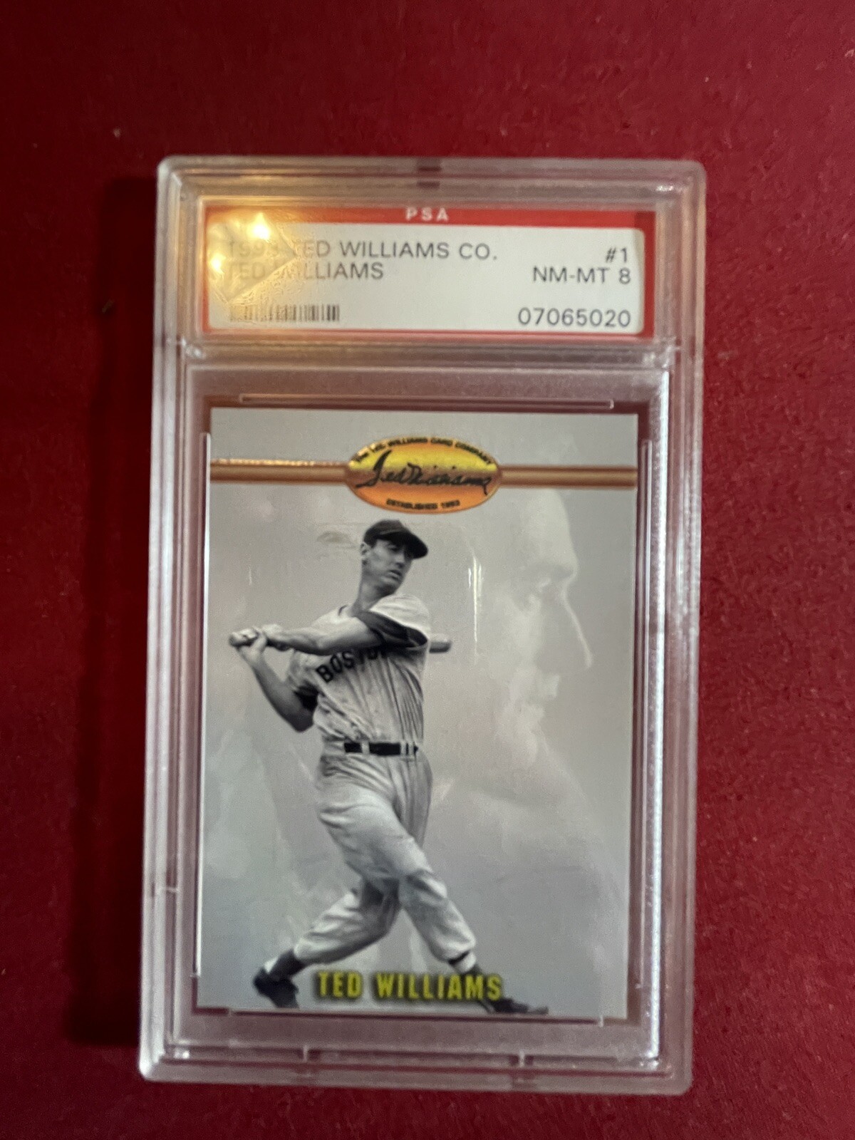 1993 Ted Williams Card Company - Background Photo with Bat #1 Ted ...