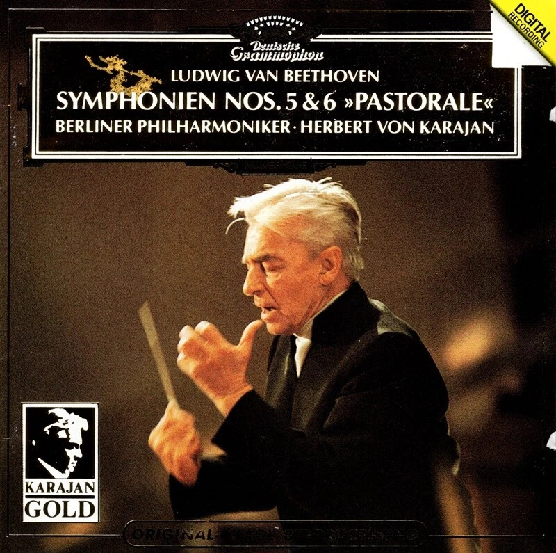 Ludwig Van Beethoven Conducting