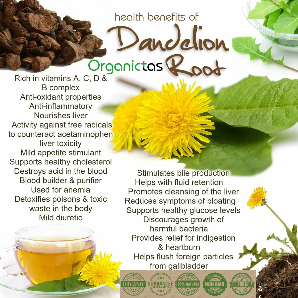 200g DANDELION ROOT Natural Detox Diuretic Premium Quality Taraxacum ...