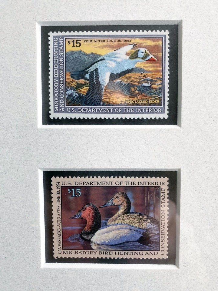 🔥 40 Federal Duck Stamps 1960-1999 Custom Framed by Decade w/ Brass ID ...