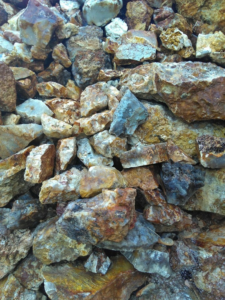 REGENCY ROSE GRAVEYARD POINT PLUME AGATE CUTTING SIZE ROUGH $5 PER LB ...