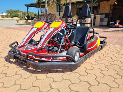 Aabekart Double Go Kart 270CC | eBay Australia