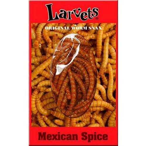 SUPERWORMS larvets Mexican spice flavor! edible insects for human ...