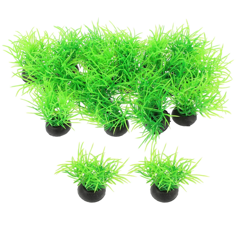 Turtle Grass Aquarium