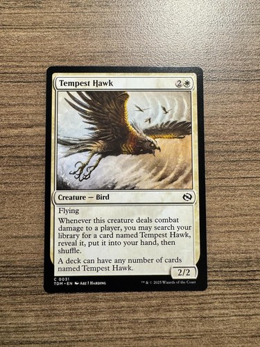 Tempest Hawk Tarkir Dragonstorm Common | eBay