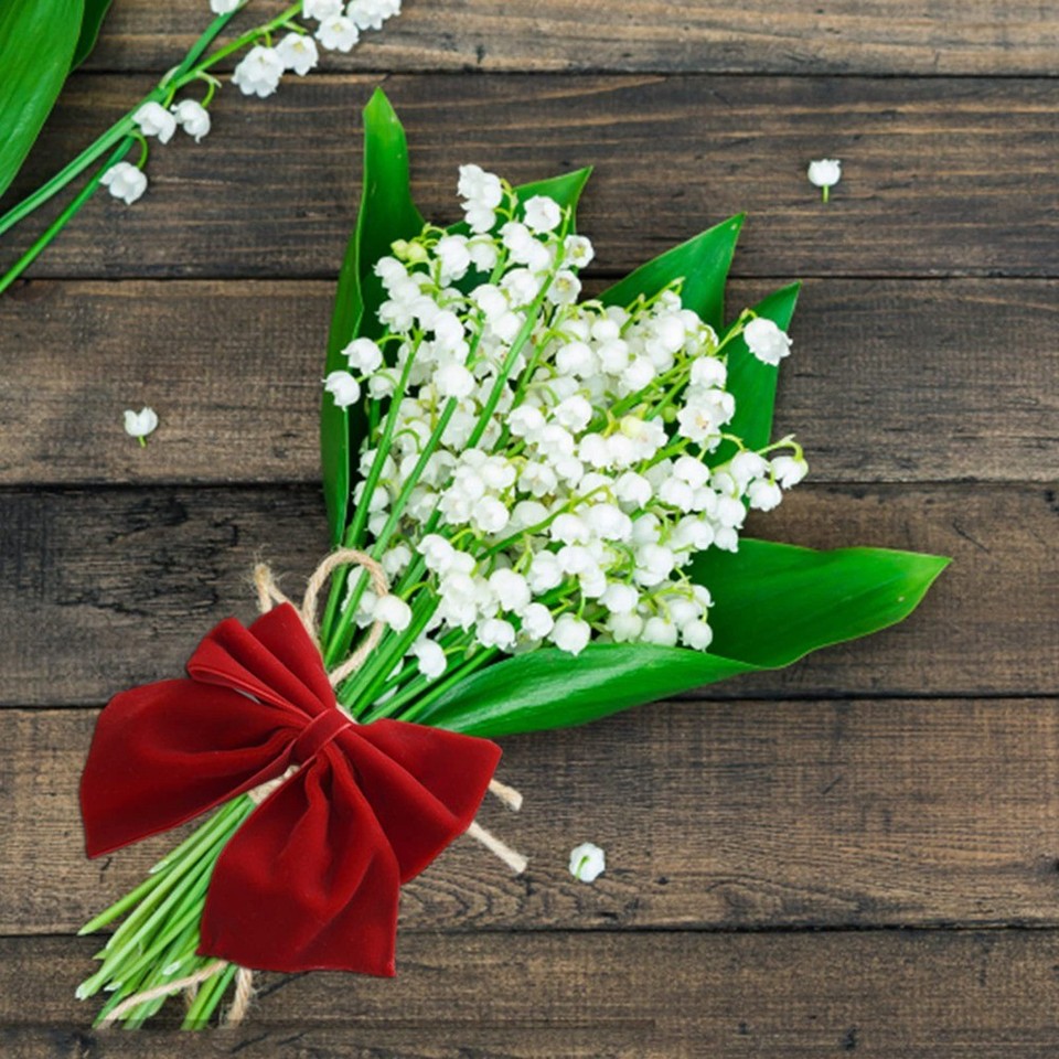 8 Anneaux de Porte-Serviettes à NœUd Rouge, Porte-Serviettes de NoëL en ...