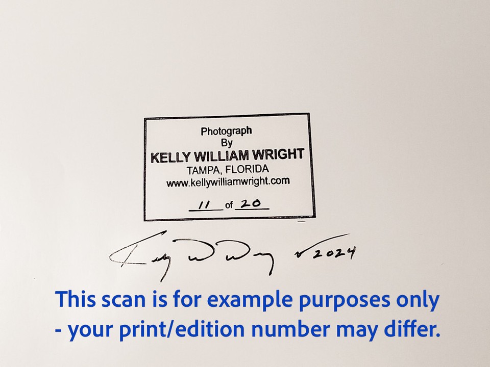 Original Male Nude KELLY WILLIAM WRIGHT Muscle Men JUNGLE WORK #8 ...