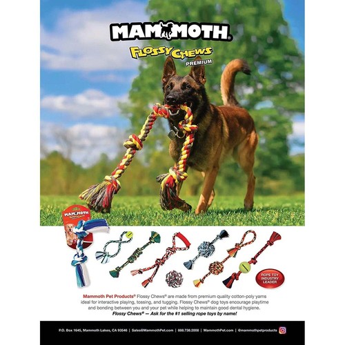 Mammoth Cloth Rope Bone Dog Toy, Medium 12”, Color Varies 3-Pack | eBay