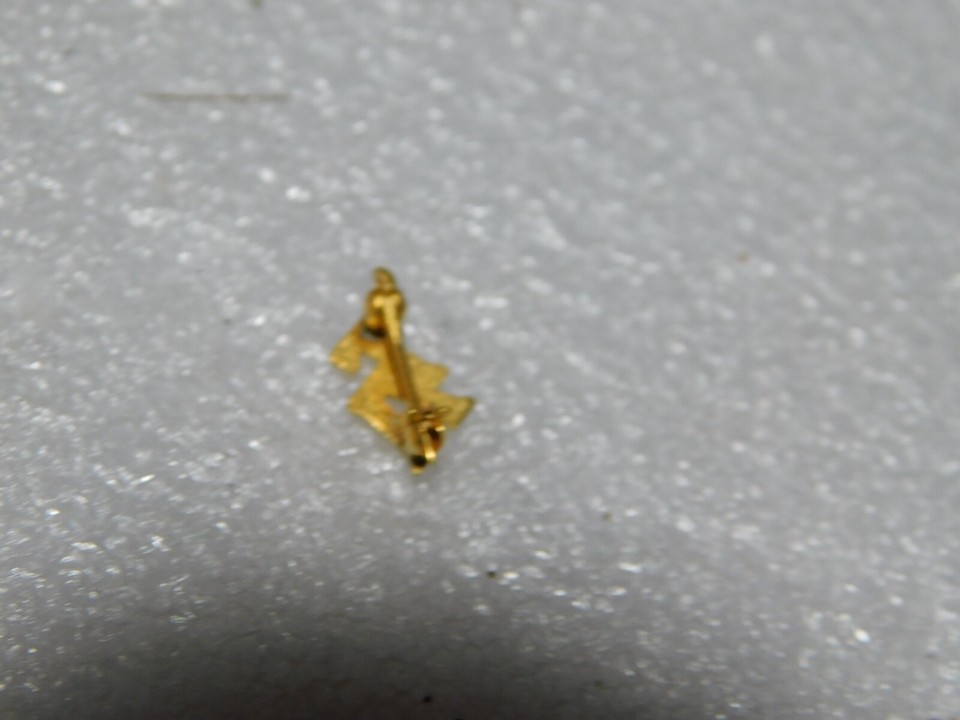 Nice Gold Tone Tau Alpha Fraternity Sorority Chapter Guard | eBay