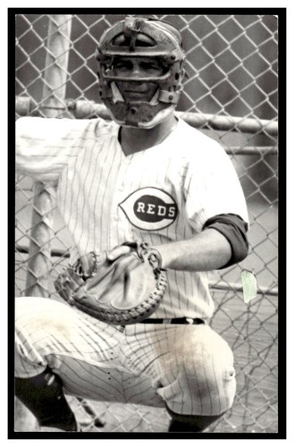 Bill Morton Cincinnati Reds Vintage Baseball Postcard PCCR | eBay