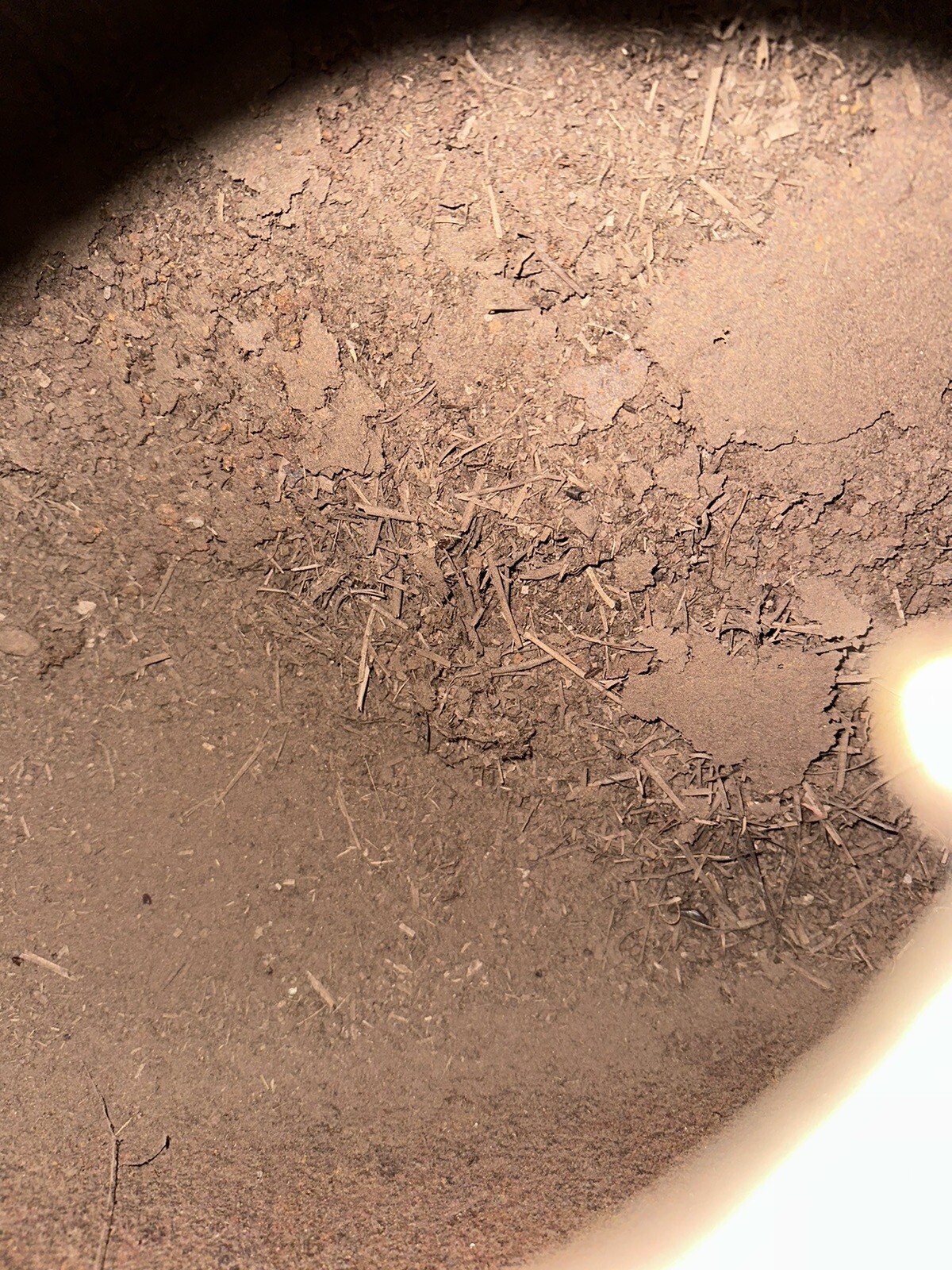 Allis Chalmers Wd Wd45 Gas Tank Tag #5030 | eBay