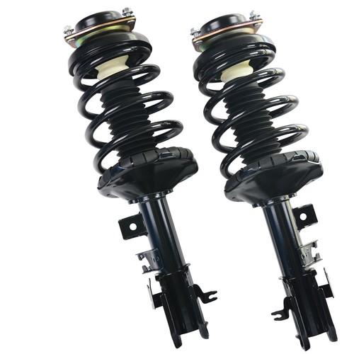 Front Pair (2) Complete Strut Assembly for 2002 2003 2004 Nissan ...