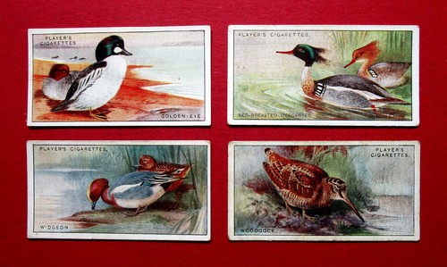 PLAYER FOUR VINTAGE 1927 CIGARETTE CARDS GAME BIRDS & WILD FOWL 13-25 ...