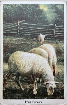 Navarre Kansas Postcard 1919 Sent To Eisenhower Family Kansas City ...