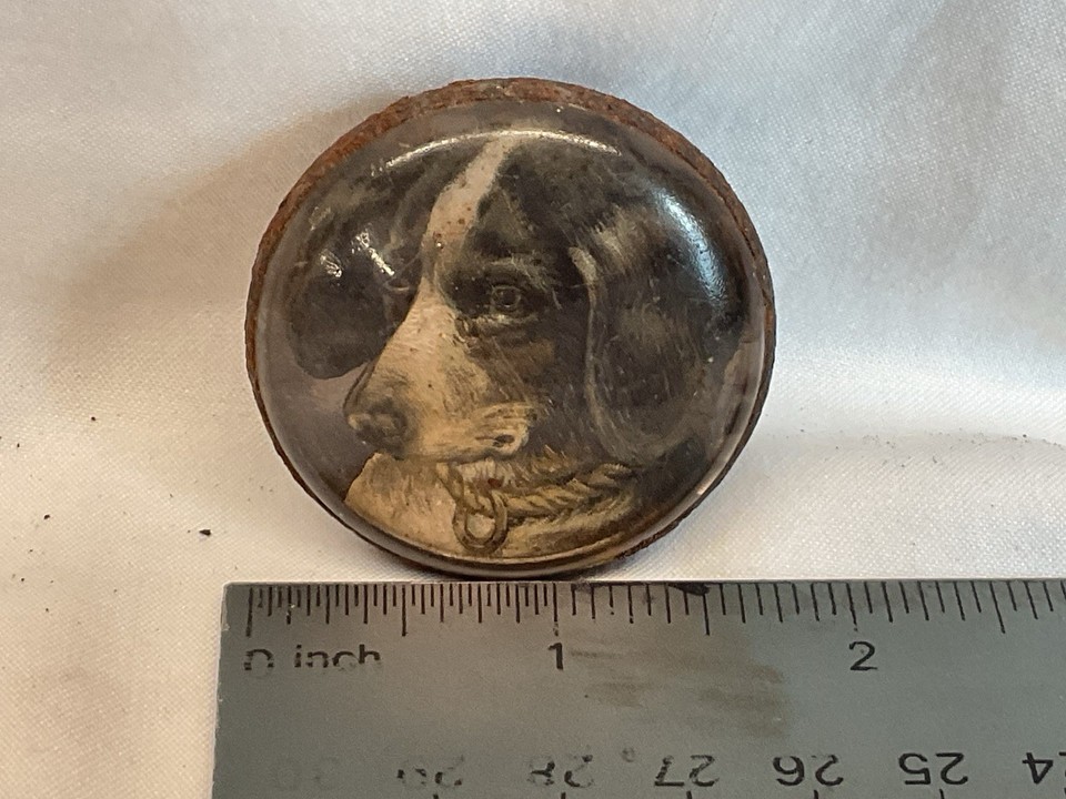 Antique Hunting Bird Dog Retriever Portrait Round Domed Glass Bridle ...
