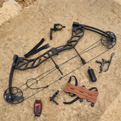 19-70LB Adjustable Hunting Compound Bow Archery Set 320FPS 19"-30" Draw ...