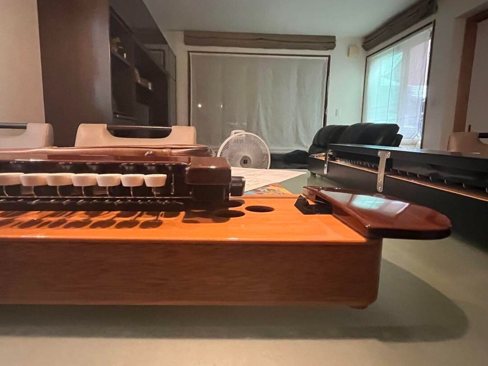 YAMAHA TH-10E Taishogoto Japanese Musical Instrument Auto Harp From ...