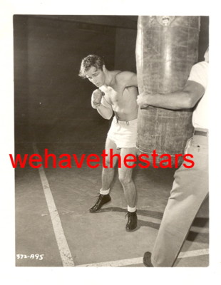 Vintage Marlon Brando BEEFCAKE BOXING EXERCISE '51 STREETCAR LB Pub ...