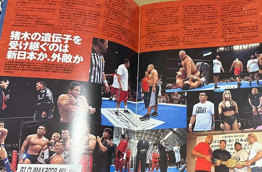 Joanie Laurer Chyna 2002 NJPW The Spiral Toyko Dome Program Bryan ...