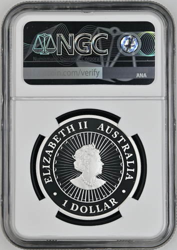 2023 Australia OPAL LUNAR Year of the Rabbit 1 oz Silver Proof Coin NGC ...