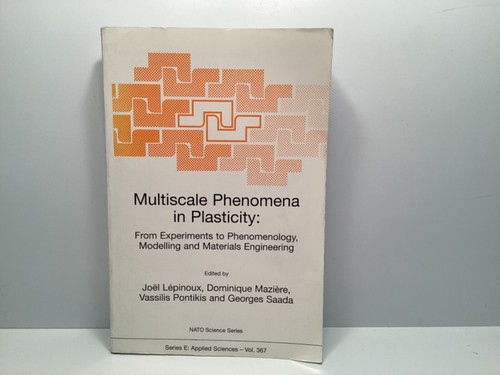 Multiscale Phenomena in Plasticity by Joel Lepinoux (PPBK 2000) | eBay