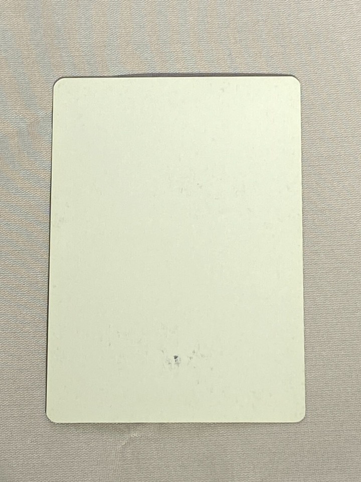 MTG Spirit Loop Artist Proof and Signature Signed Reynolds | eBay