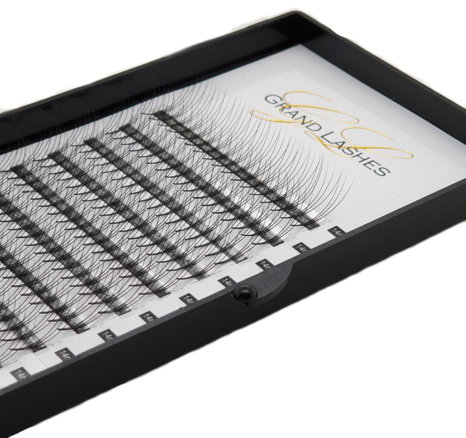 Pre-made Fan 3D Eyelash Extension Trays 0.10 C Curl D Curl Silk | eBay
