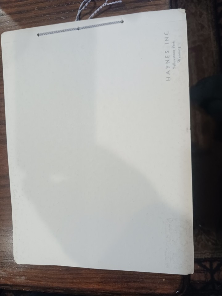 Haynes Inc Yellowstone Portfolio Vintage National Prints Color Linen In ...