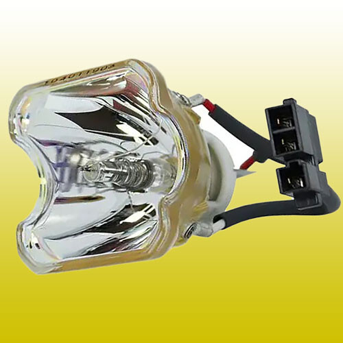 Original Bare Lamp Bulb for Nikon Intensilight C-HGFIE / Intensilight C ...