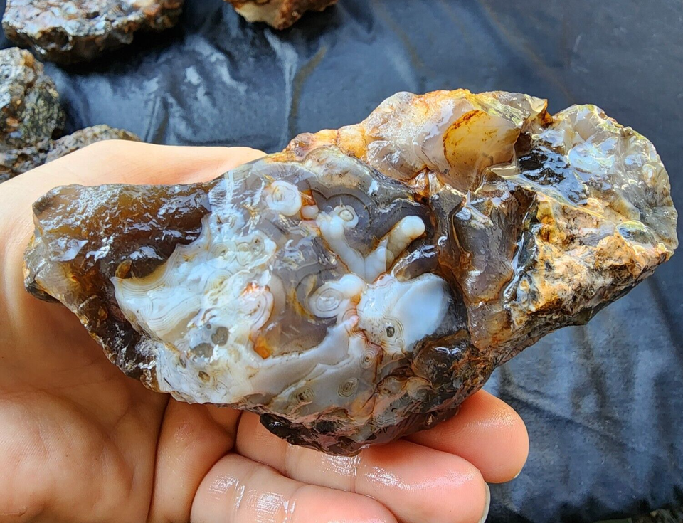 15 Lapidary Agate Rough, Wholesale Agate, Bulk Agate, Agate Lot, 13.95 ...
