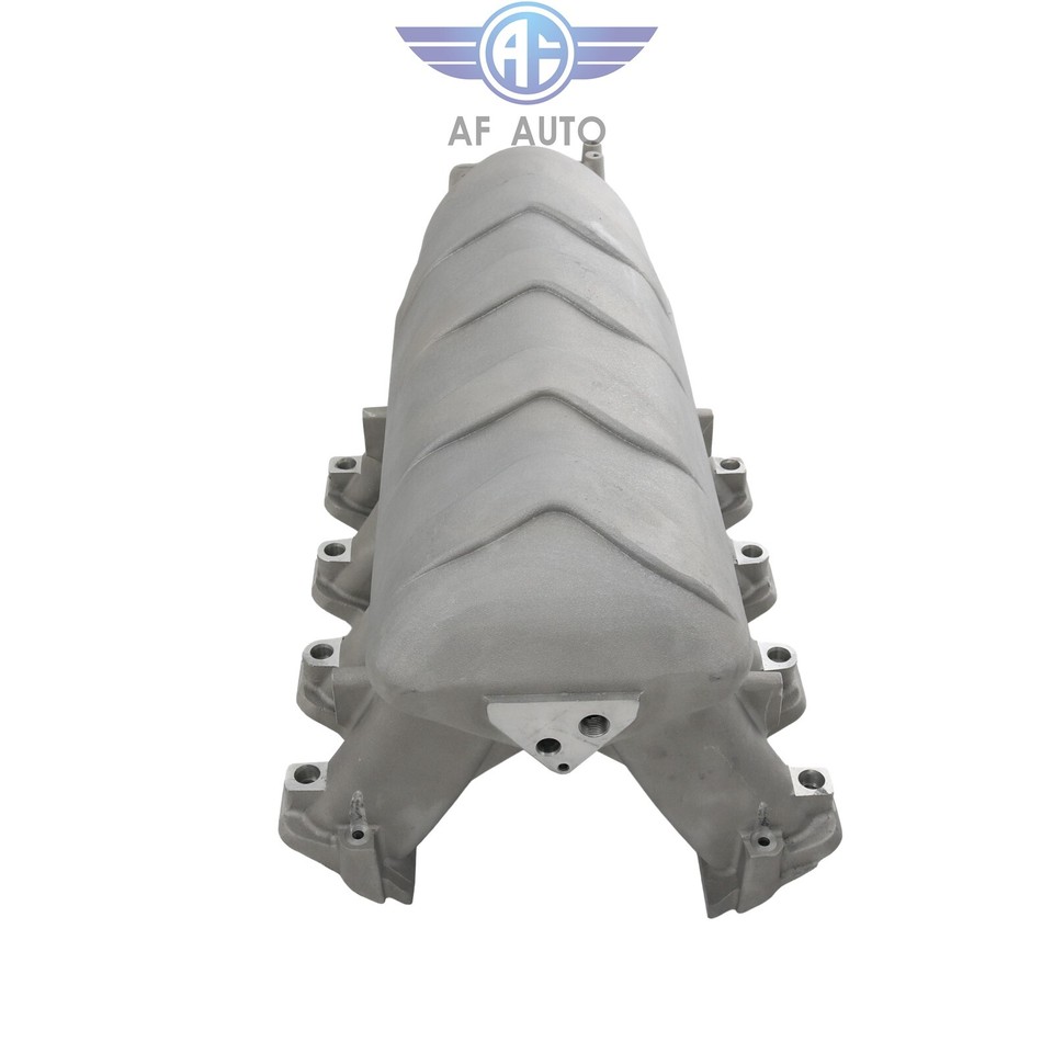 EFI LS Hi-Ram Multi-Port Intake Manifold for Small Block Chevy GM LS3 ...