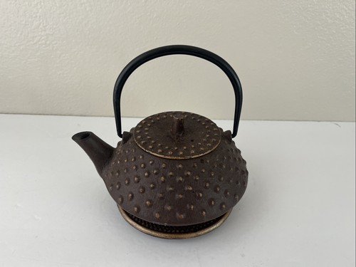 Japanese Cast Iron Tea Steeping Pot Kettle with Infuser | eBay