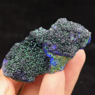 48mm CUPRITE coated by Malachite on Blue Azurite from China CMM2370566 ...
