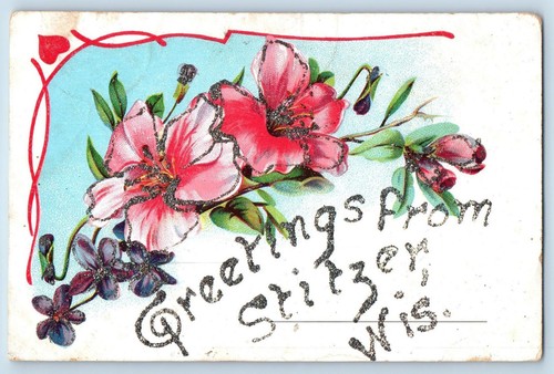 Stitzer Wisconsin WI Postcard Greetings Flowers And Leaves Scene c1910 ...