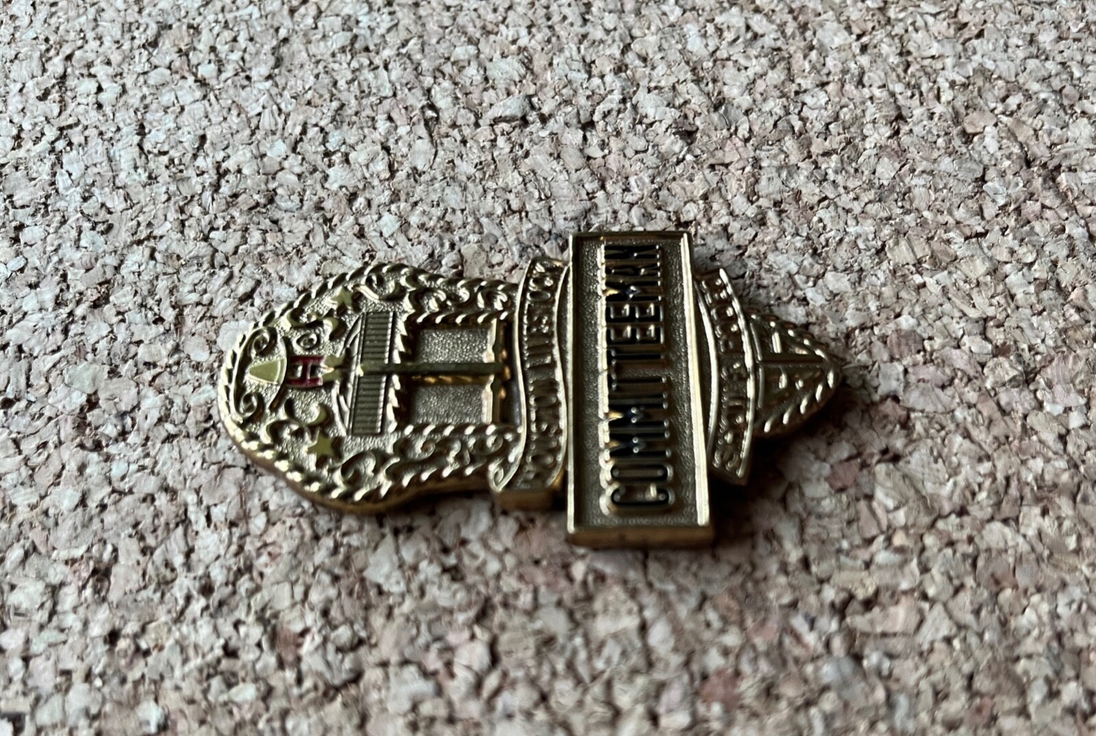 Houston Livestock Show & Rodeo Committeeman Badge Pinback Belt Buckle ...